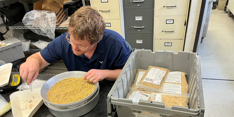 Making of the U.S. Soybean Quality Survey – Northern Soy Marketing