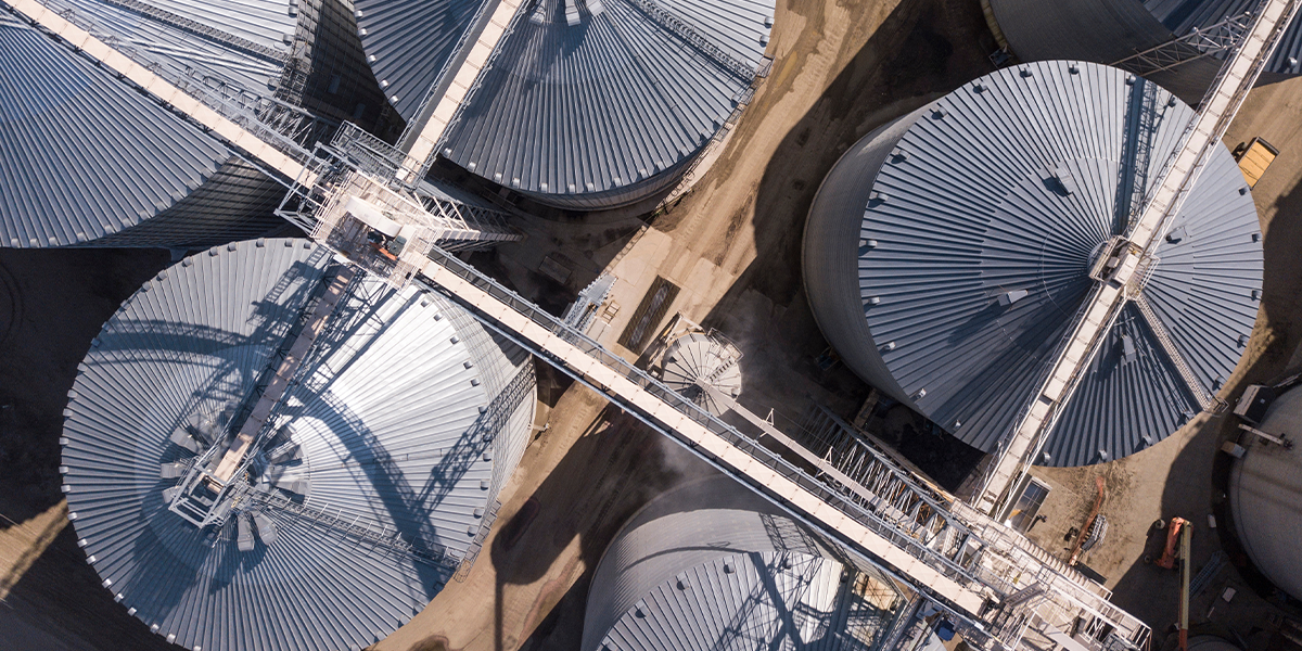 Northern soy quality: Why storage matters from field to feed mill ...